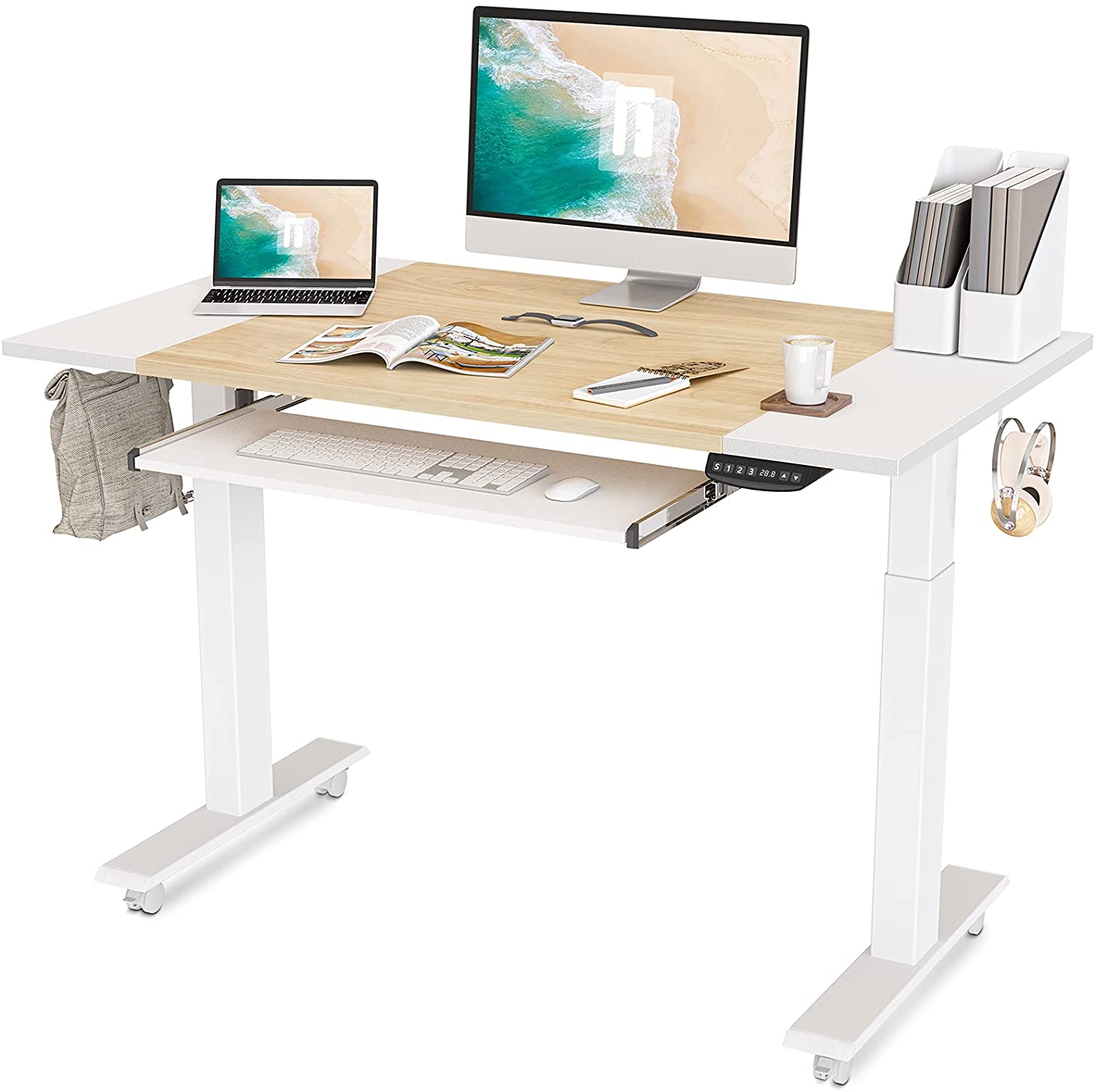 BONZAY Dual Motor Height Adjustable Electric Standing Desk – STYLENHOME LLC